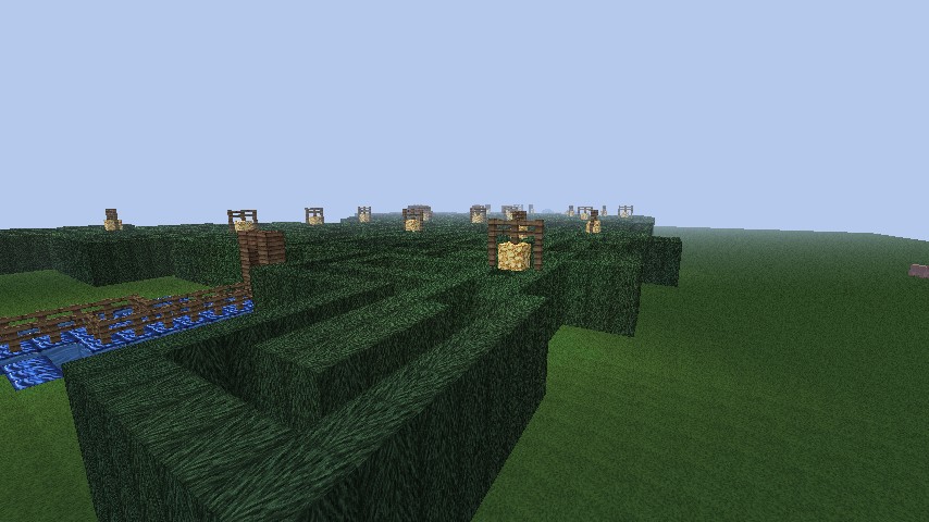 Leaf Maze Minecraft Map