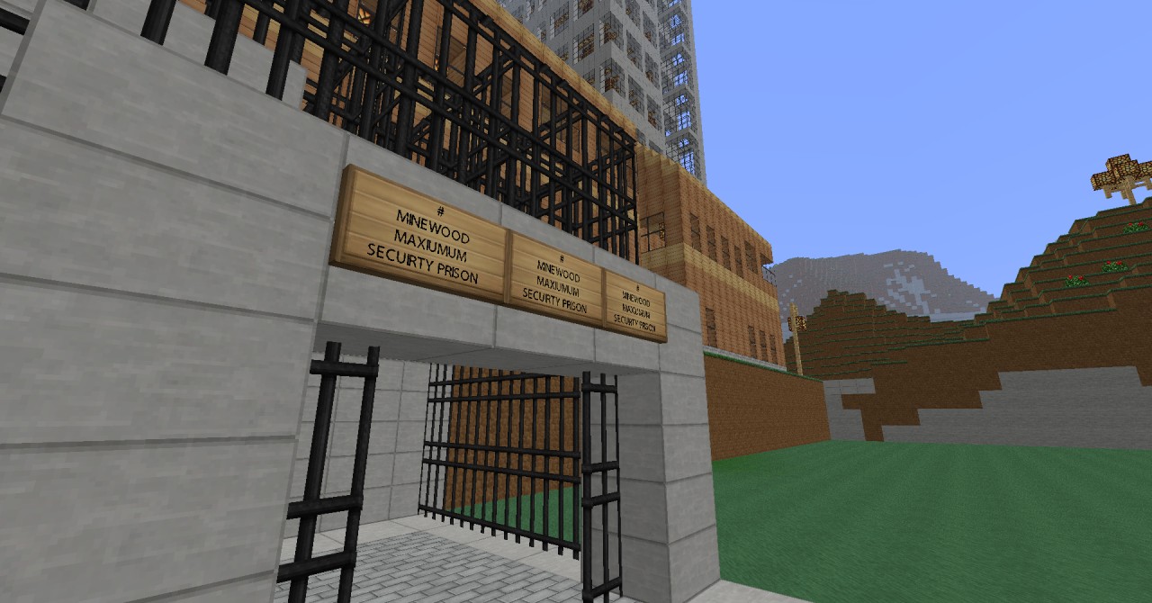 THE CITY SERVER Minecraft Server