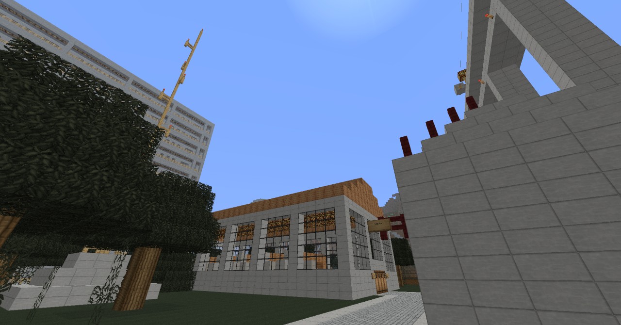 THE CITY SERVER Minecraft Server