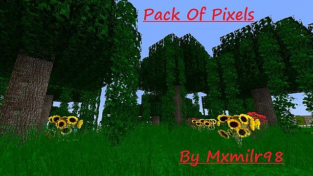 Pack Of Pixels Minecraft Texture Pack