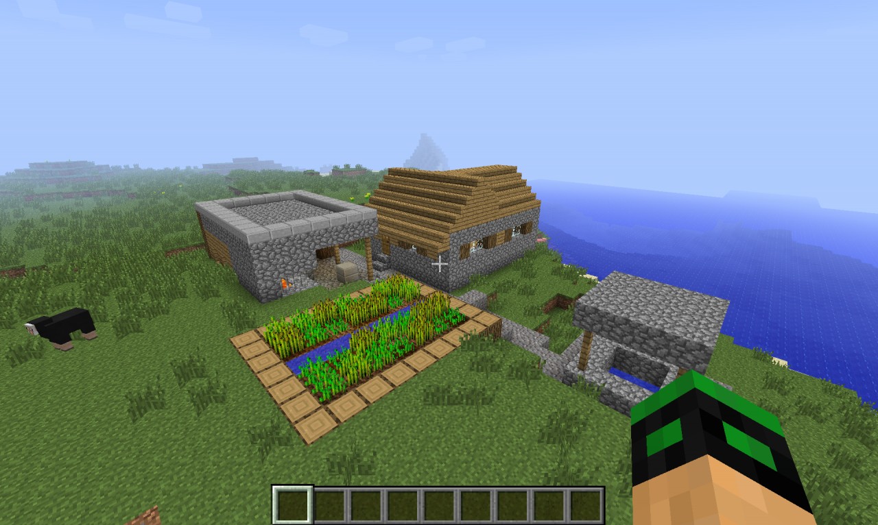 Mini village Minecraft Project
