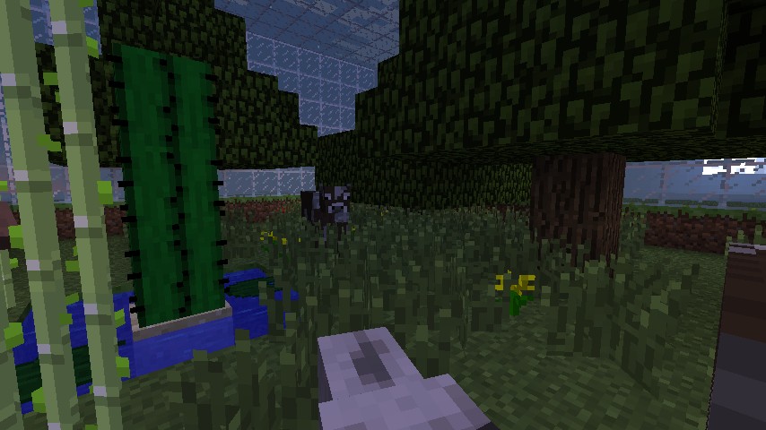 The cube Minecraft Map