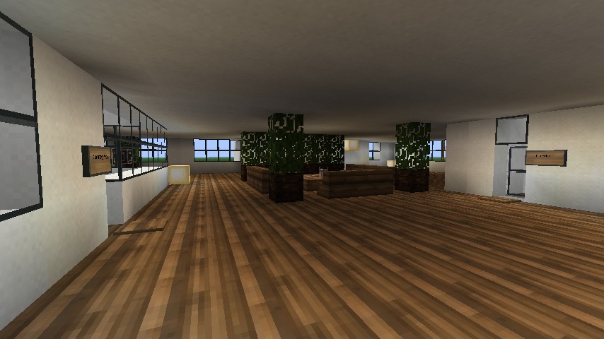 Modern House Big Version! Minecraft Map