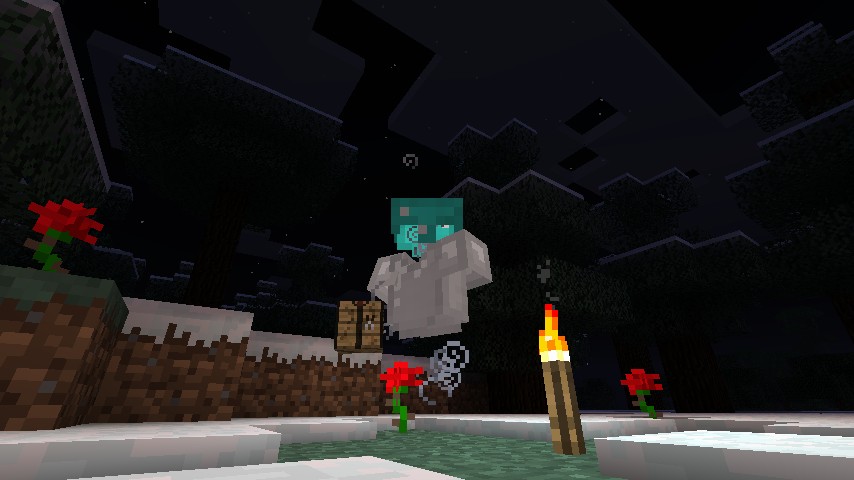 Invisible potions and night vision Minecraft Blog