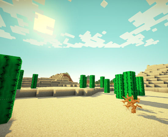 Desert Minecraft Project