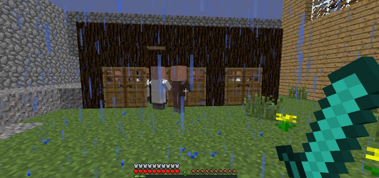 *Village* Shadloo Minecraft Map