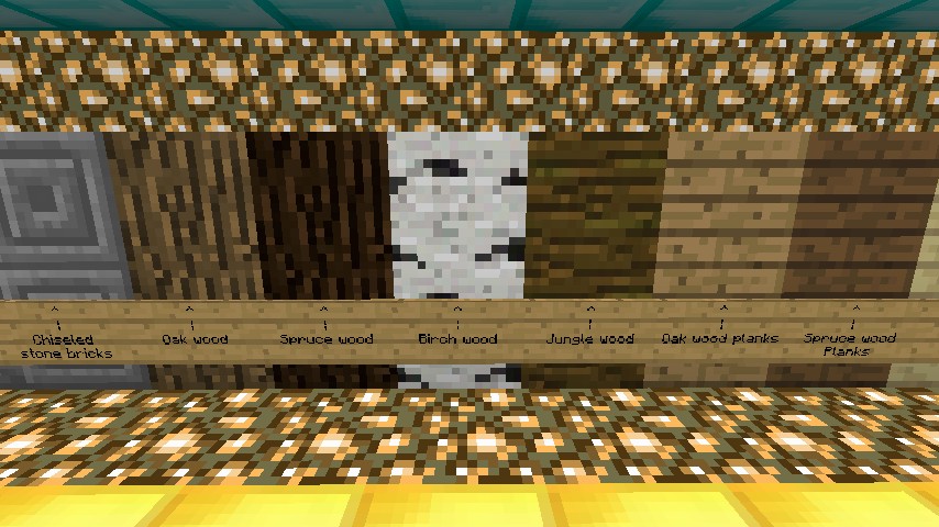 Texture pack testing Minecraft Map