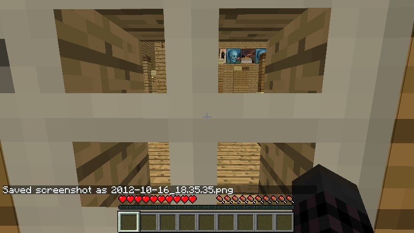 The Challenge Minecraft Map