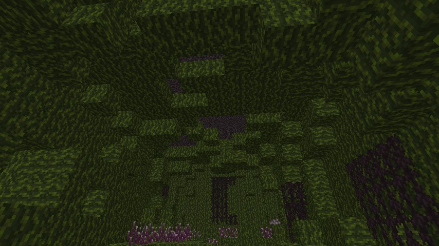 Starship Ender Minecraft Map