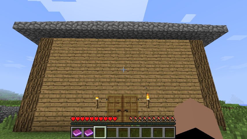 Starter World Minecraft Map