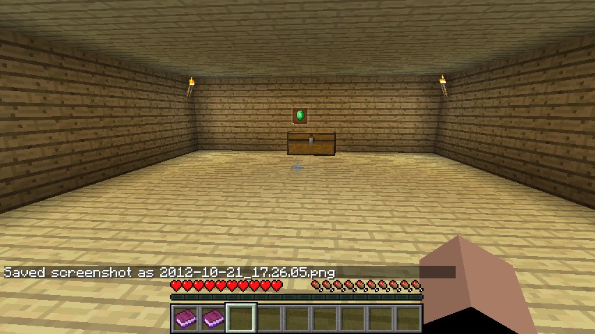 Starter World Minecraft Map