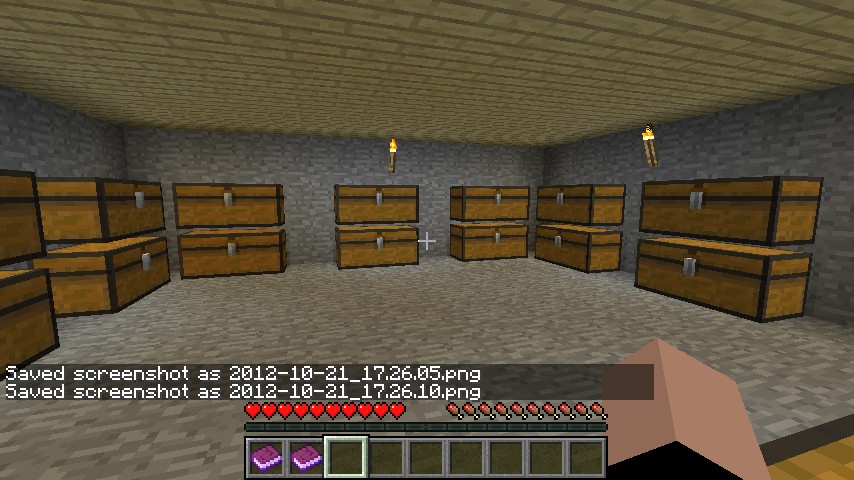 Starter World Minecraft Map