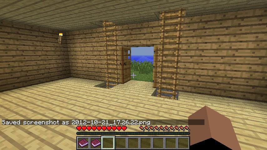 Starter World Minecraft Map