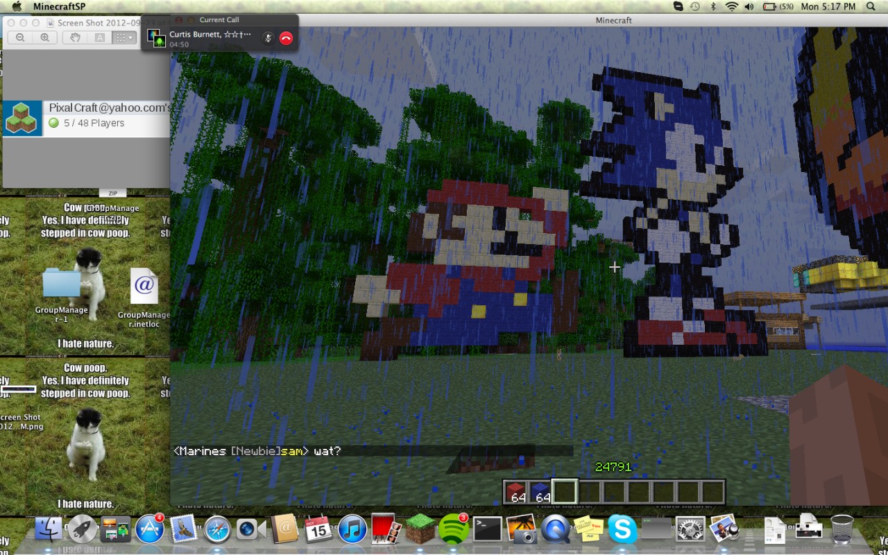 Some of Gorillas PixalArt on PixalCraft Minecraft Map