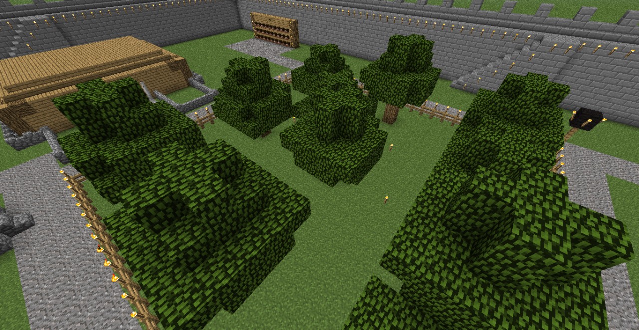 NPC village to a castle Minecraft Map