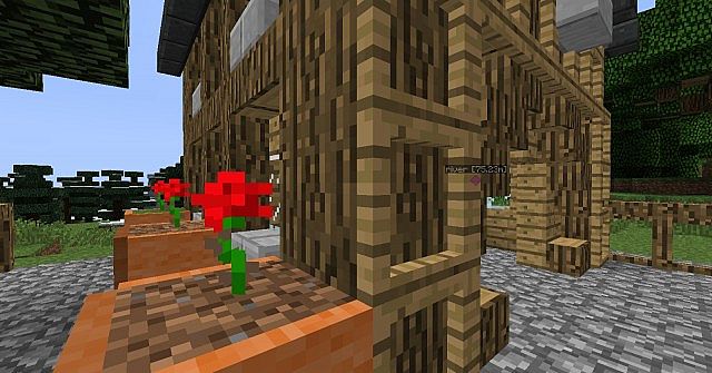 MicroBlocks Demo Shed Minecraft Map