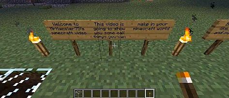 Testing World Minecraft Map