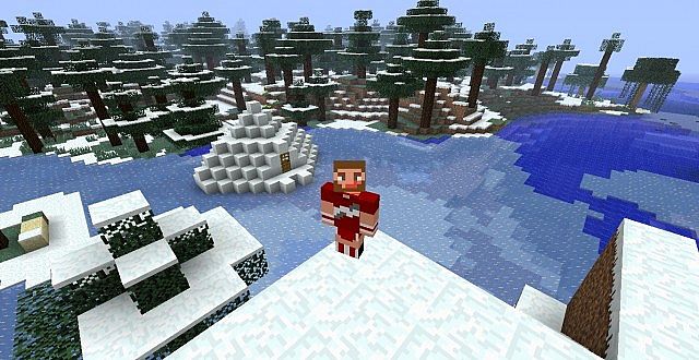 Igloo For the Winter Lover Minecraft Map