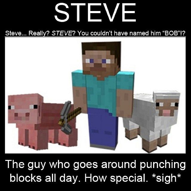 Steves name