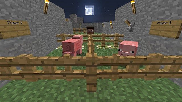 2 player race Minecraft Map