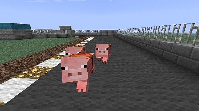 Pig race! Minecraft Map