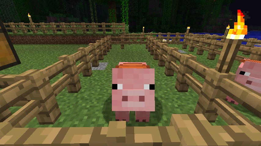 Pig Racing (Under Ground) Minecraft Map