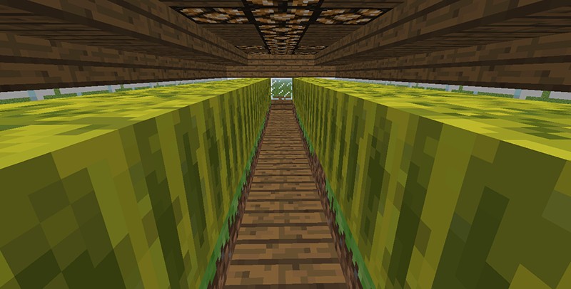 Mini Melon Farm Minecraft Map