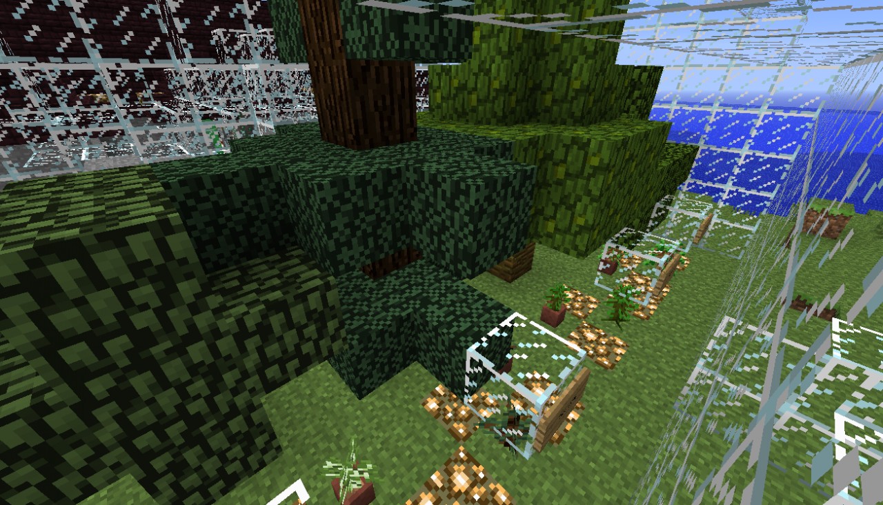 Texture Pack Tester Minecraft Map