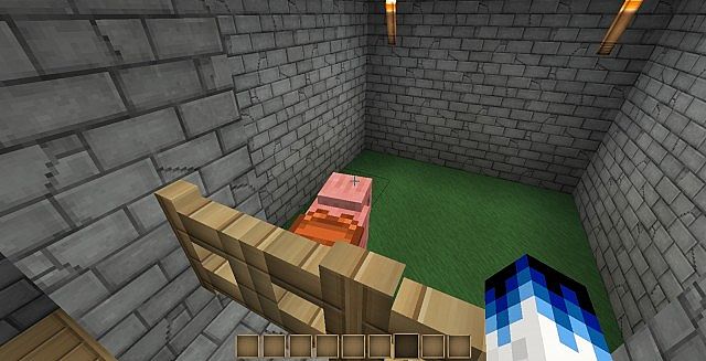 Pig racing Minecraft Map