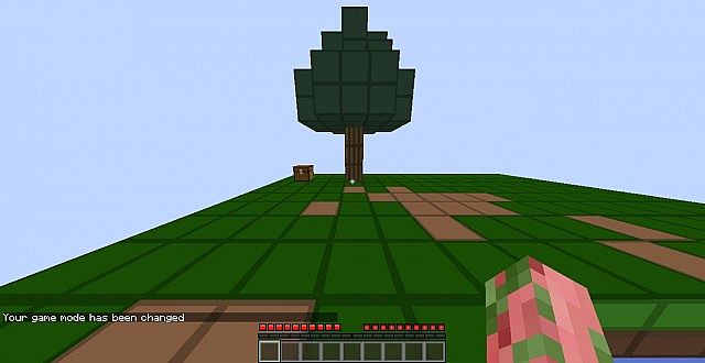 1 chunk survival Minecraft Map