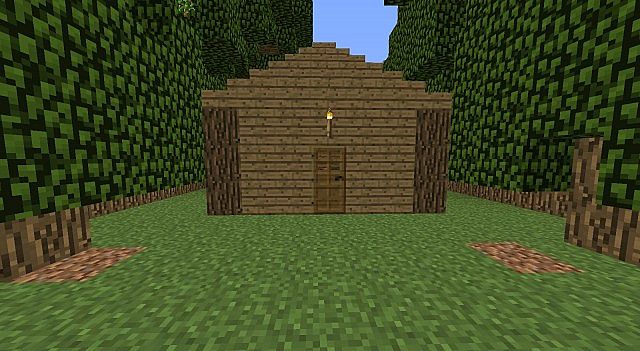 Simple Starting Shack Minecraft Project