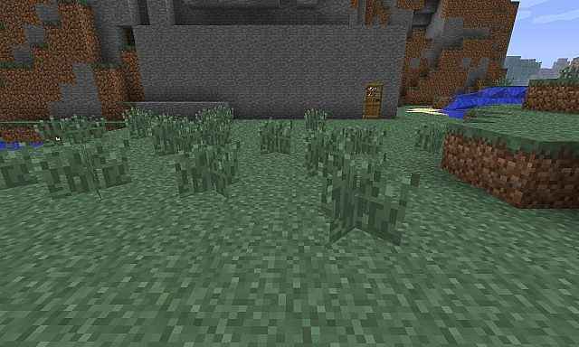 House in a Hill Minecraft Map