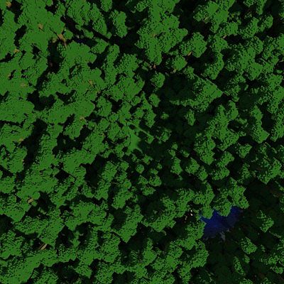 Epic Jungle Minecraft Map