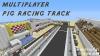 Multiplayer Pig Racing Track (1.4.5+) Minecraft Map