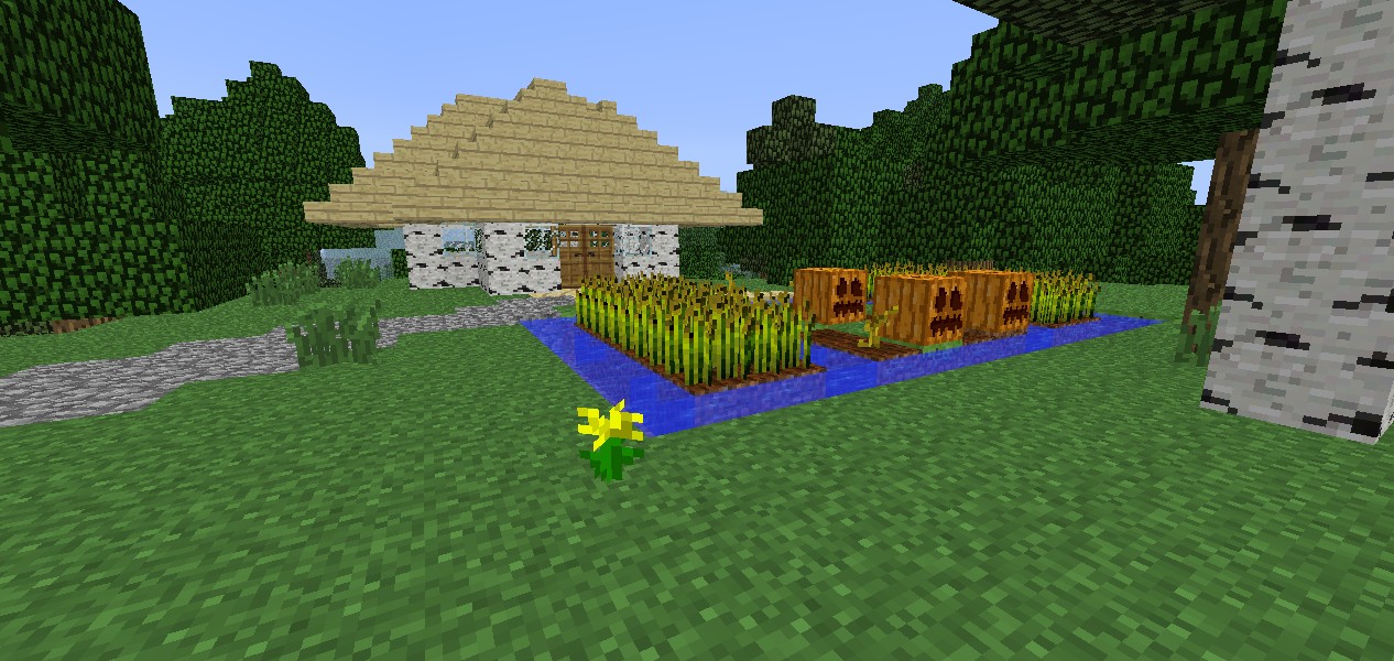 MineHouse by iToniiBlack Minecraft Map