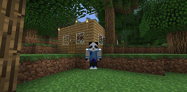 TT Server Minecraft Server