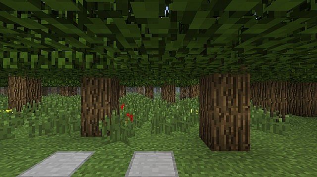 Anarchy [PvP] Minecraft Map