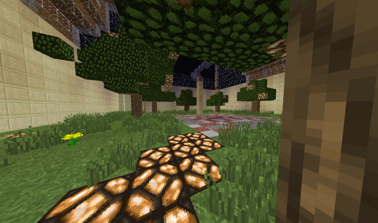 Mob Arena Minecraft Map