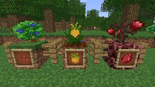 MrGirboto's Food Mod [1.4.6] [Forge] [SMP] [Updated Jan. 8 | v3 ...