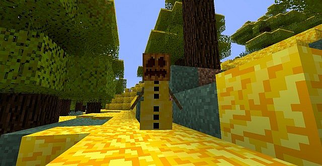 RandomCraft Minecraft Texture Pack