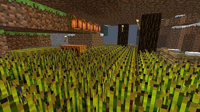 Simple ravine house Minecraft Map