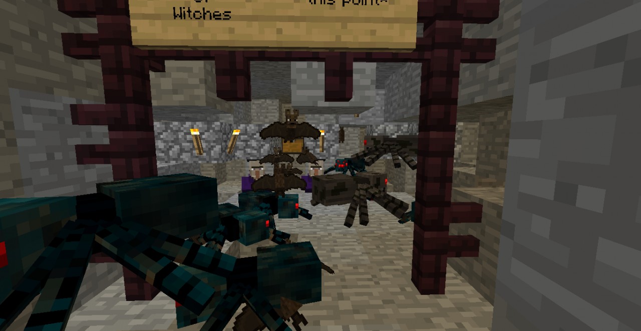 Adventure for the wither king Minecraft Map