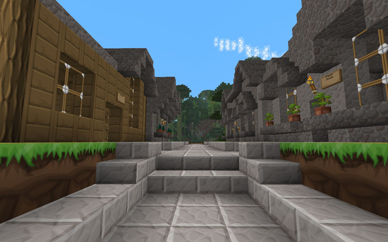 Survival village (Multiplayer map) (survival)+ Mob fight arena! Minecraft Map