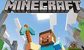 The Problem With Minecraft?