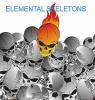 Elemental Skeletons Minecraft Texture Pack