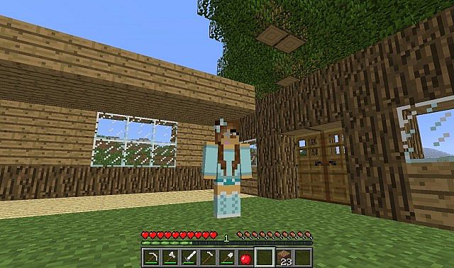 My Last Minecraft Account