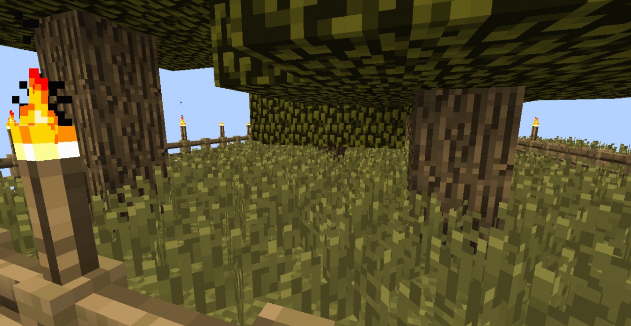 XP Woods Minecraft Map