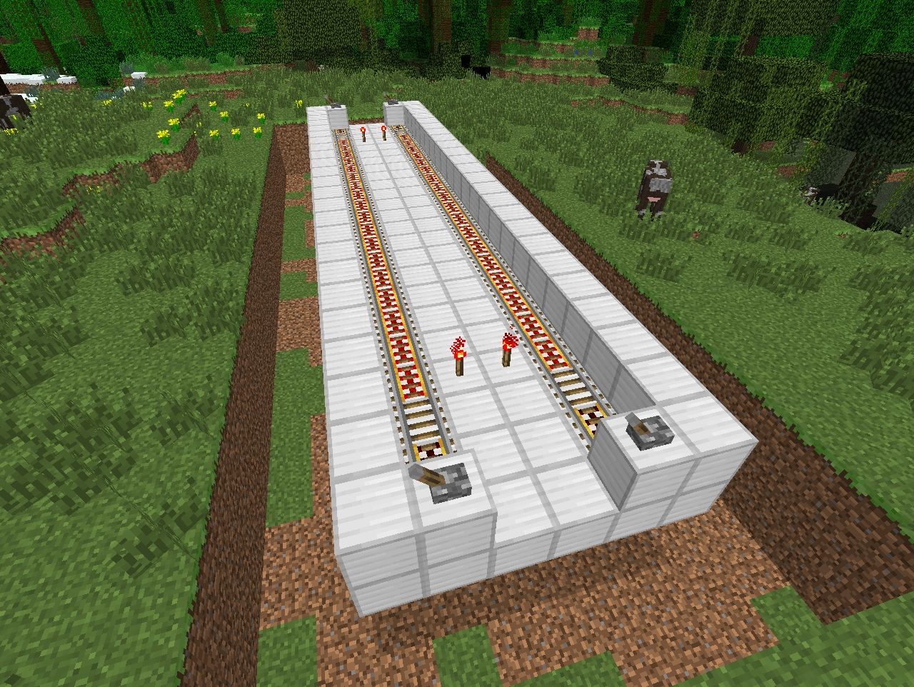 My Railroad Design Minecraft Map