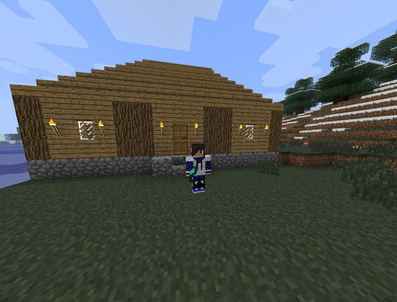 NPC House Design Minecraft Map