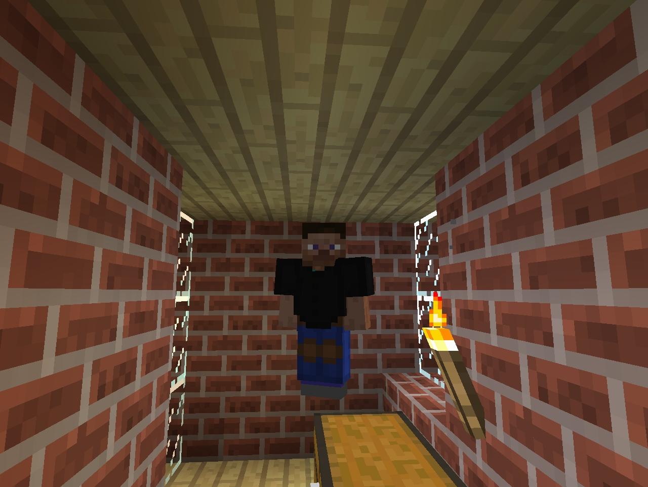 sims full version Minecraft Map